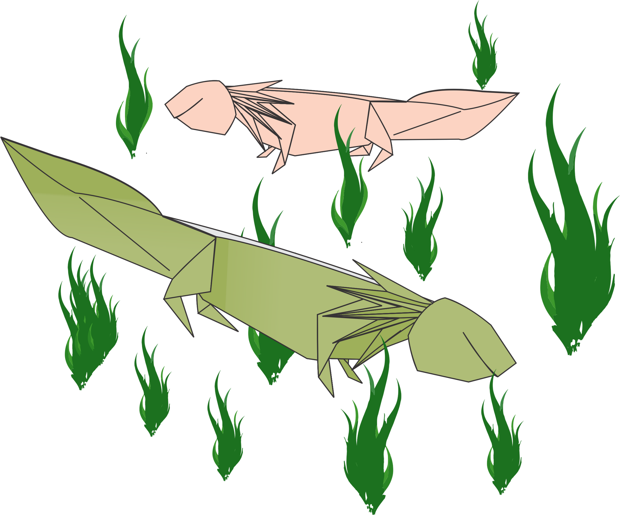 Origami Axolotl Diagram Instruction - Axolotl Salamander Ebook – Hoang ...